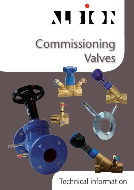 Commissioning Valves