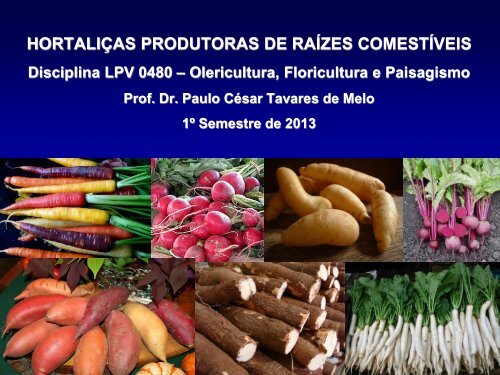 HORTALIÇAS PRODUTORAS DE RAÍZES COMESTÍVEIS