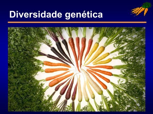 Usos e valor nutricêutic