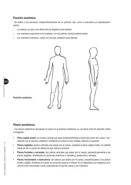 Posición anatómica. Se