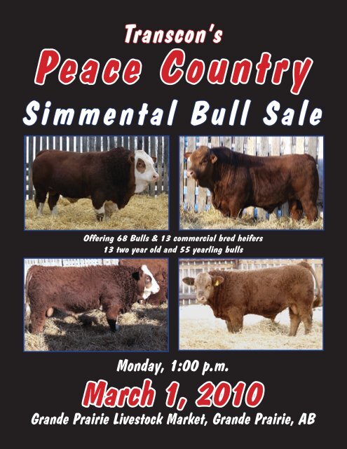Peace Country Simmental Bull Sale - Transcon Livestock Corporation