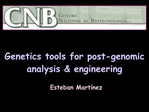 Genetics tools for post-genomic analysis & engineering