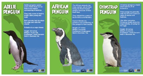 Penguin Playing Cards PDF