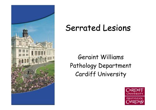 Serrated Lesions