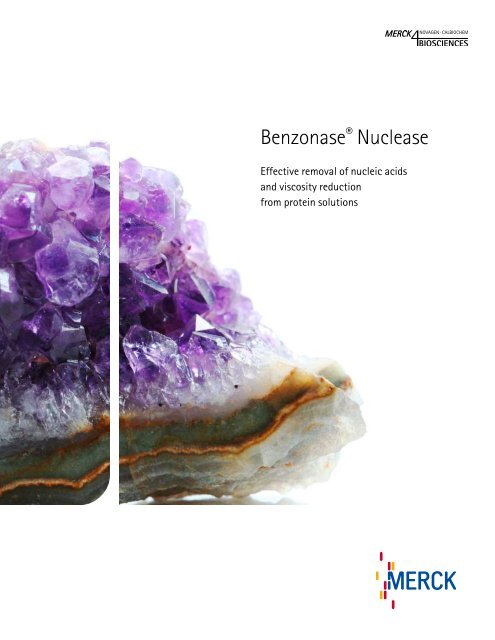 Benzonase Nuclease