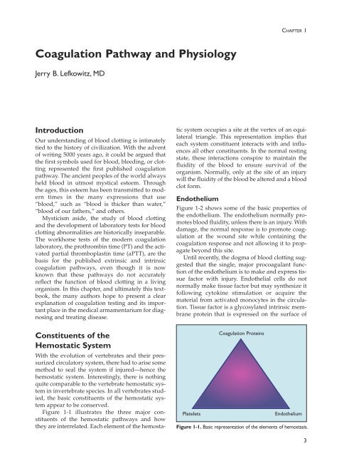 Coagulation Pathway and Physiology