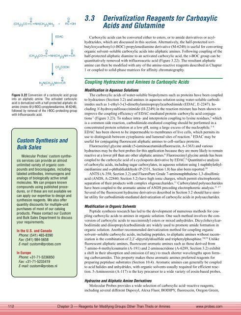 Derivatization Reagents for Carboxylic Acids and Glutamine
