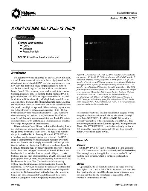 SYBR DX DNA Blot Stain