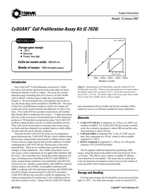 CyQUANT Cell Proliferation Assay Kit