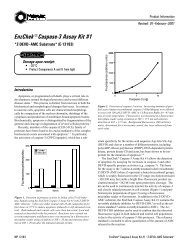 Amplex Red Monoamine Oxidase Assay Kit