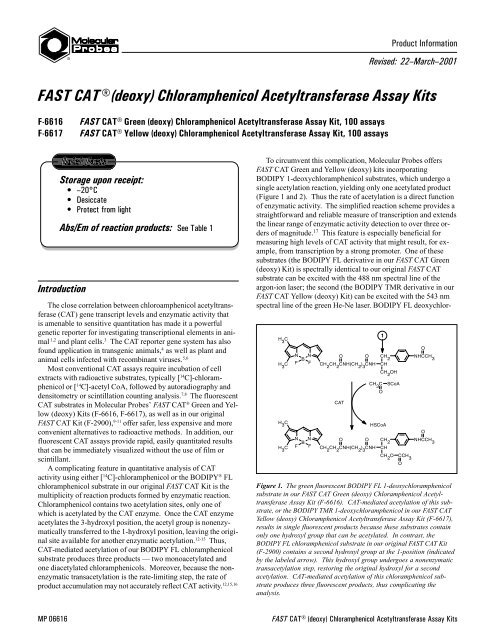FAST CAT (deoxy) Chloramphenicol Acetyltransferase Assay Kits