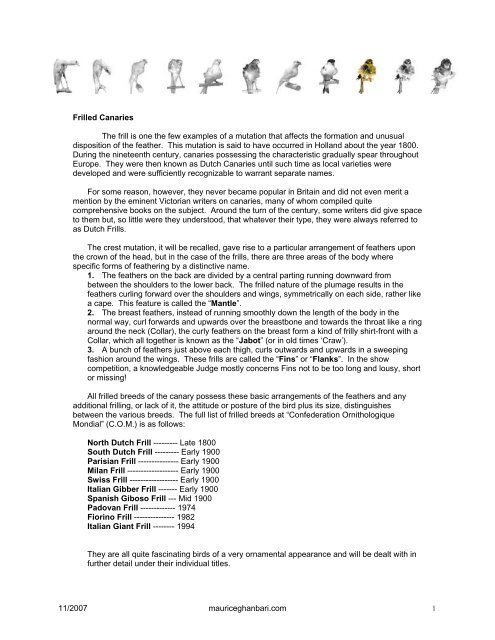 Frilled Canaries The frill is one the few examples of a mutation that ...