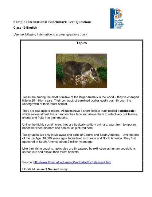 Sample International Benchmark Test Questions