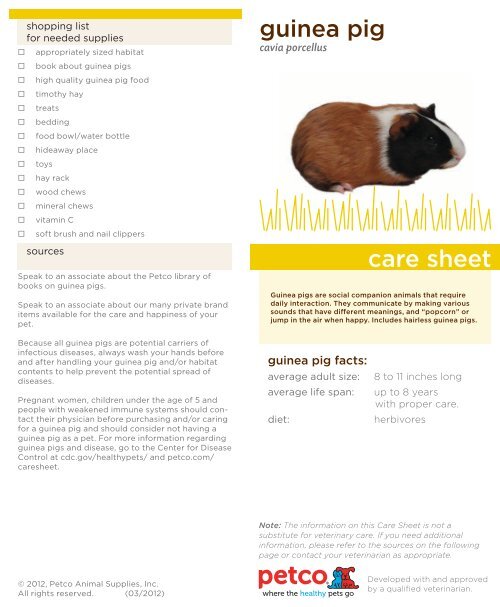 Guinea Pig Care Sheet Petco - Infoupdate.org