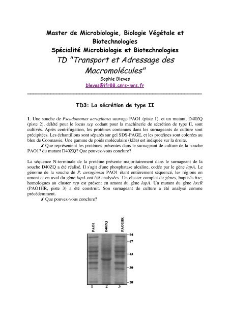 Master de Microbiologie, Biologie Végétale et Biotechnologies ...