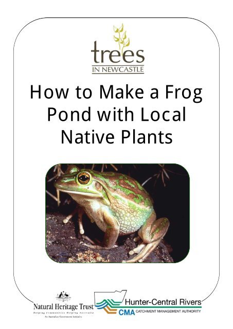 How to Make a Frog Pond with Local Native Plants