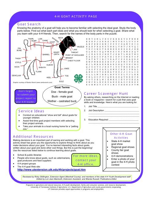 DEWCLAW 4-H GOAT