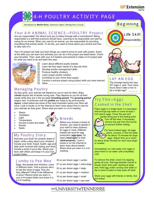 4-H POULTRY ACTIVITY PAGE