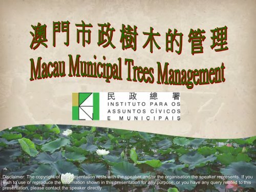 Tree Management in Macao 澳門市政樹木之管理 - 綠化工作