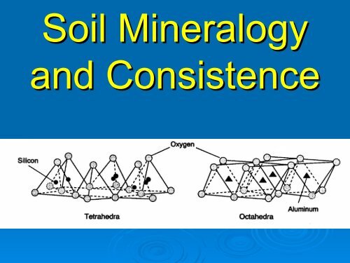 Soil Mineralogy and Consistence