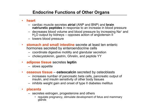 Endocrine