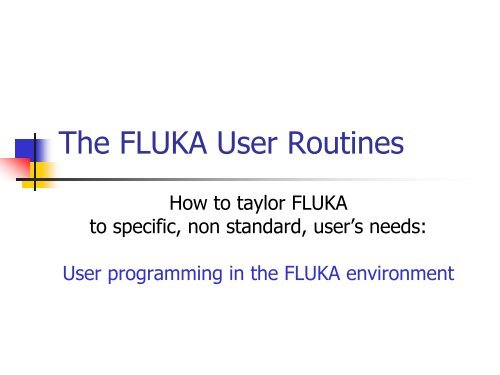 The FLUKA User Routines
