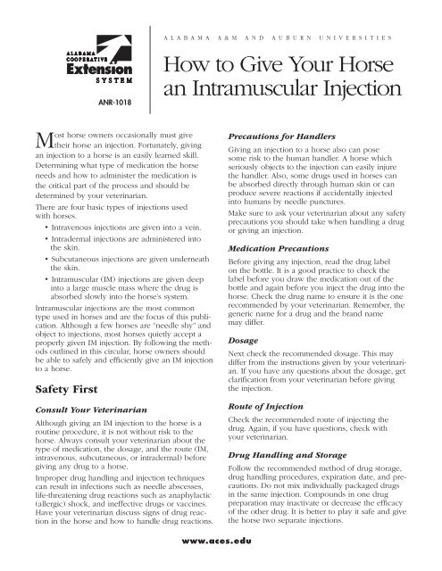 How to Give Your Horse an intramuscular injection - Alabama ...