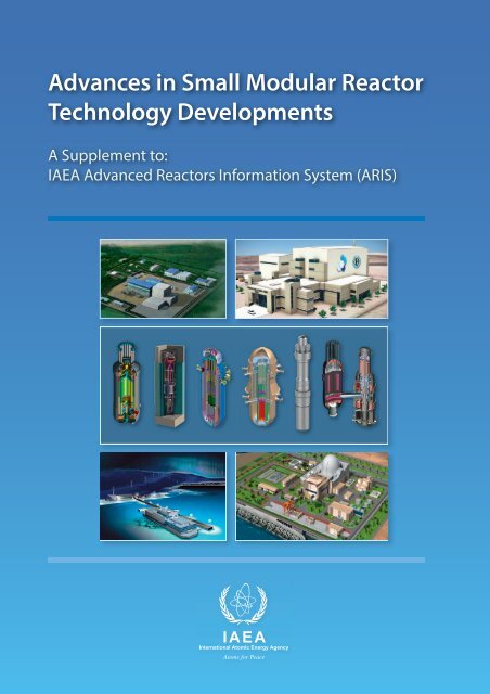 Advances in Small Modular Reactor Technology Developments