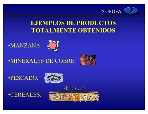 EJEMPLOS DE PRODUCTOS TOTALMENTE OBTENIDOS