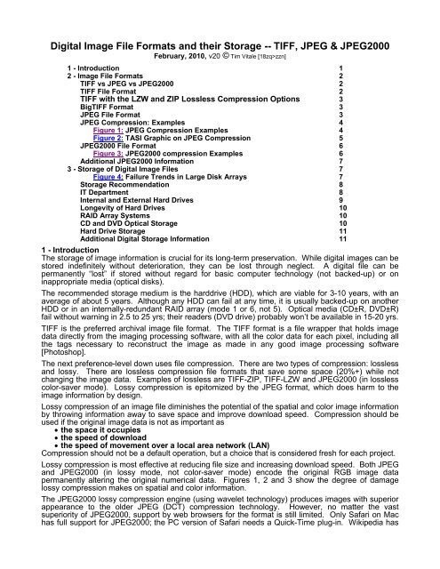 Digital Image File Formats and their Storage - Vitale Art ...