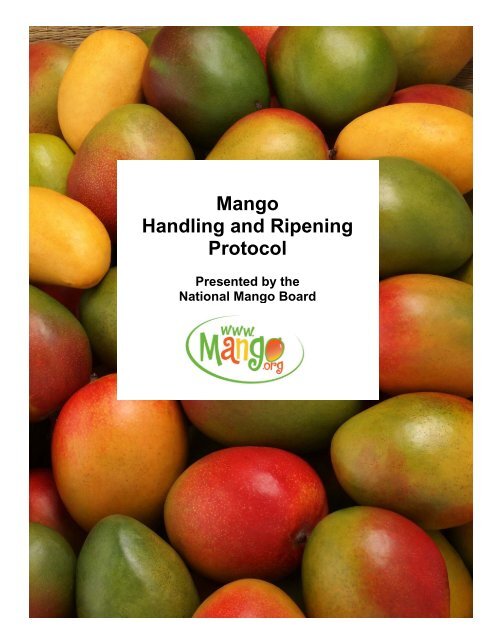 Mango Handling and Ripening Protocol
