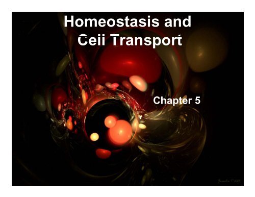Homeostasis and Cell Transport