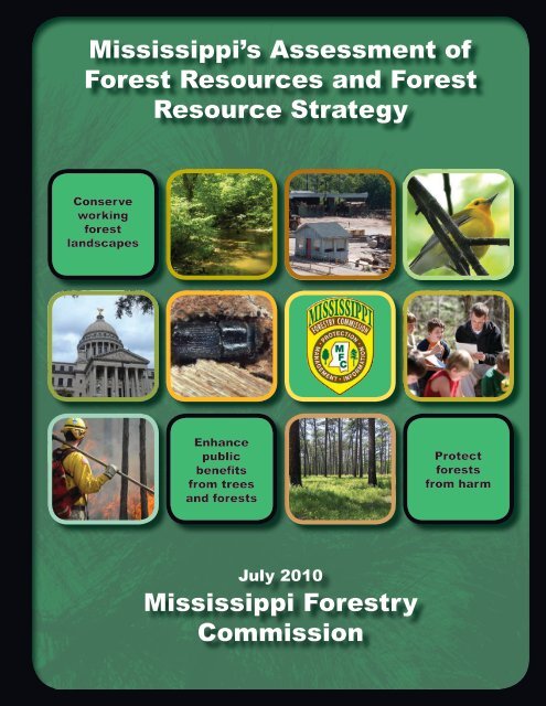 Mississippi Forestry Commission