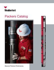 Packer Service Tools Catalog - Weatherford International