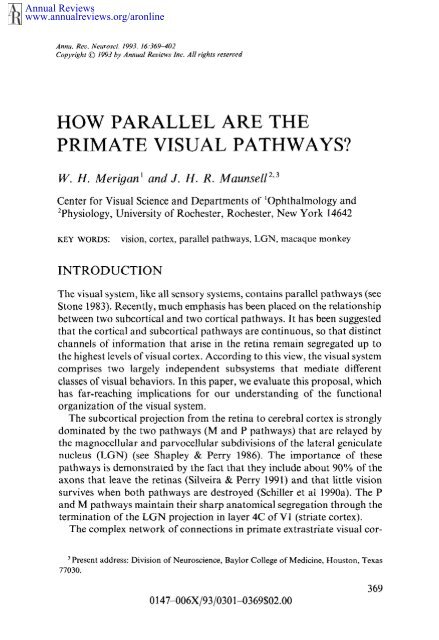 HOW PARALLEL ARE THE PRIMATE VISUAL PATHWAYS?