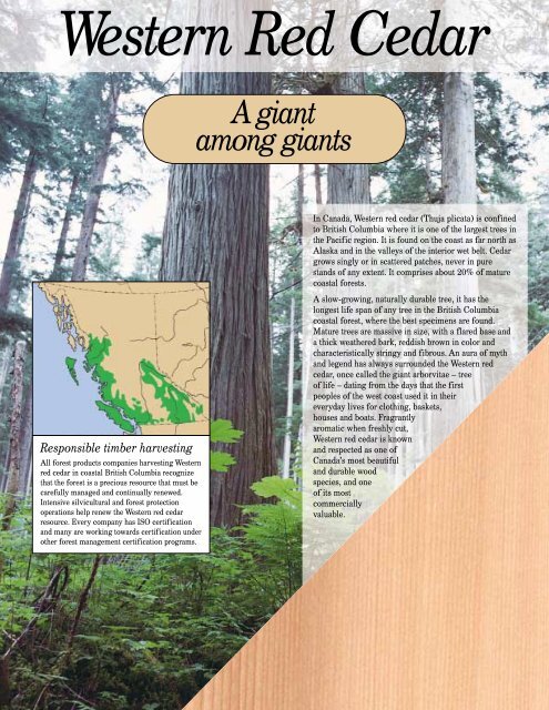Western Red Cedar
