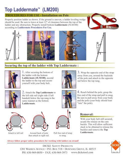 Top Laddermate (LM200)