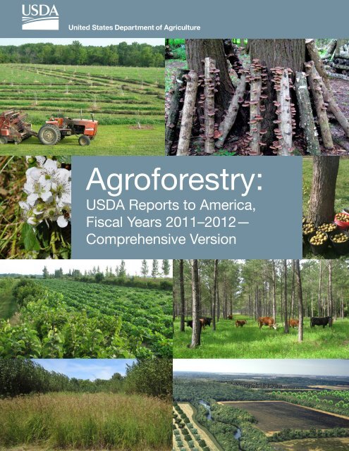Agroforestry