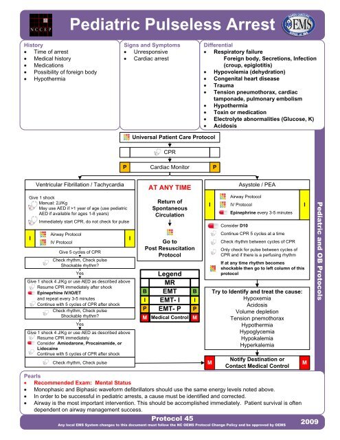 Pediatric Multiple Trauma