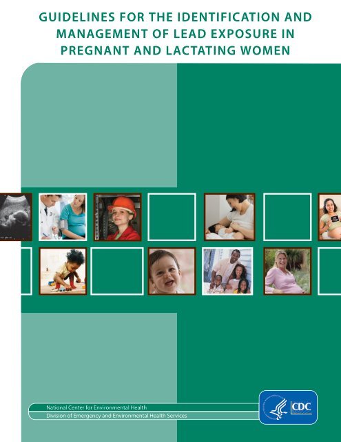 guidelines for the identification and management of lead exposure ...