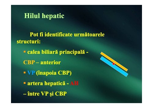 Hilul hepatic Pot fi iden