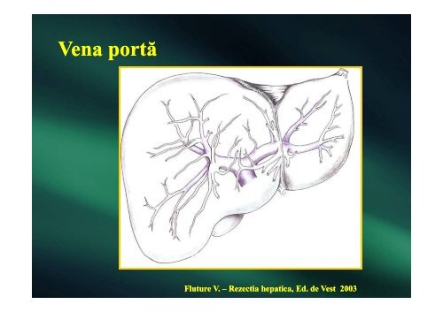 Vena portă Fluture V.