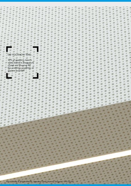 solopAnel / wAll linings - Knauf Danoline