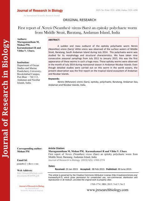 First report of Nereis (Neanthes) virens (Sars) an epitoky
