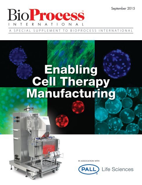 Cell Therapy Manufacturing