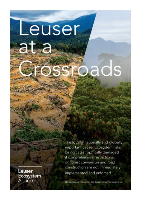 Leuser at a Crossroads
