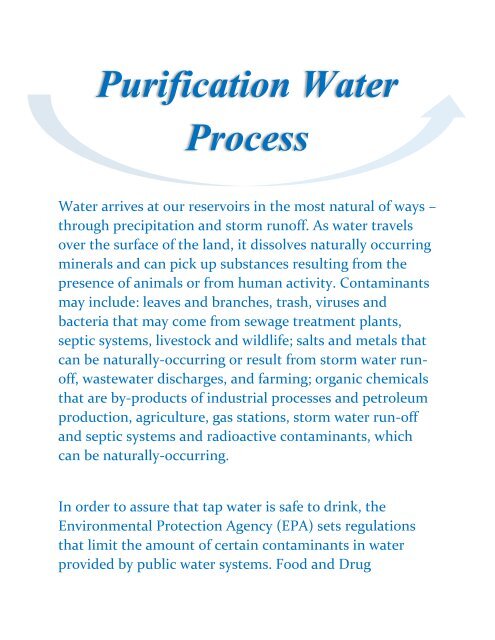 Purification Water Process