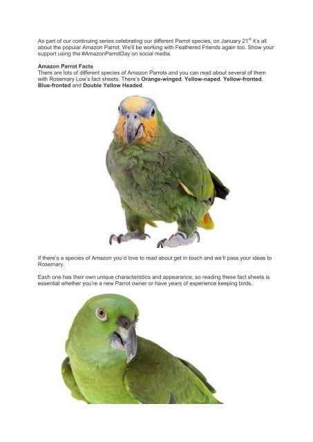 Amazon Parrots Species