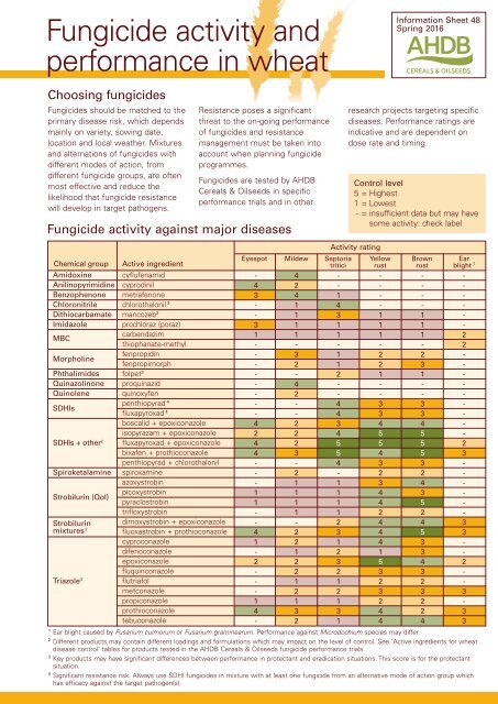 Fungicide activity and performance in wheat