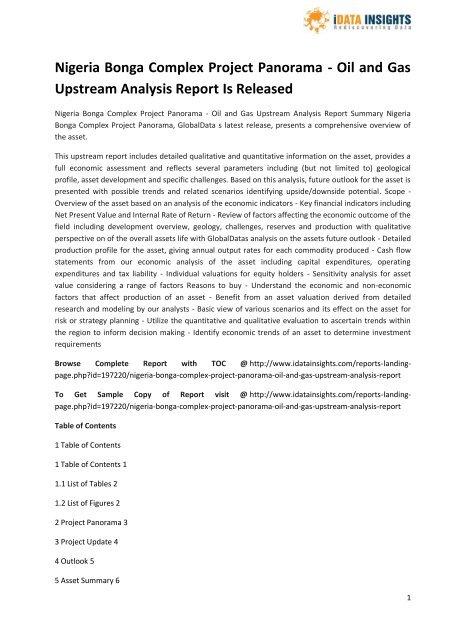 Nigeria Bonga Complex Project Panorama